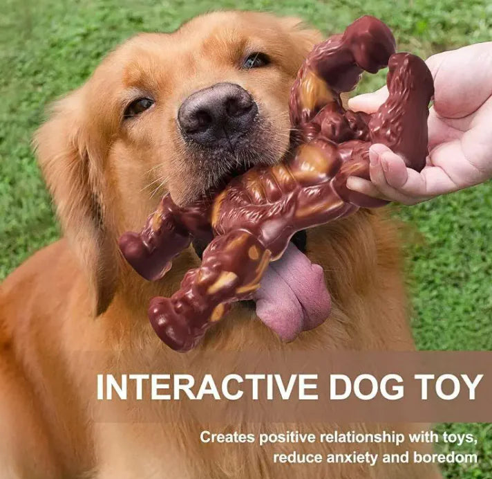 Dog Molar Nibbling Nylon Beef Flavor Toy – Wild and Crazy Pets